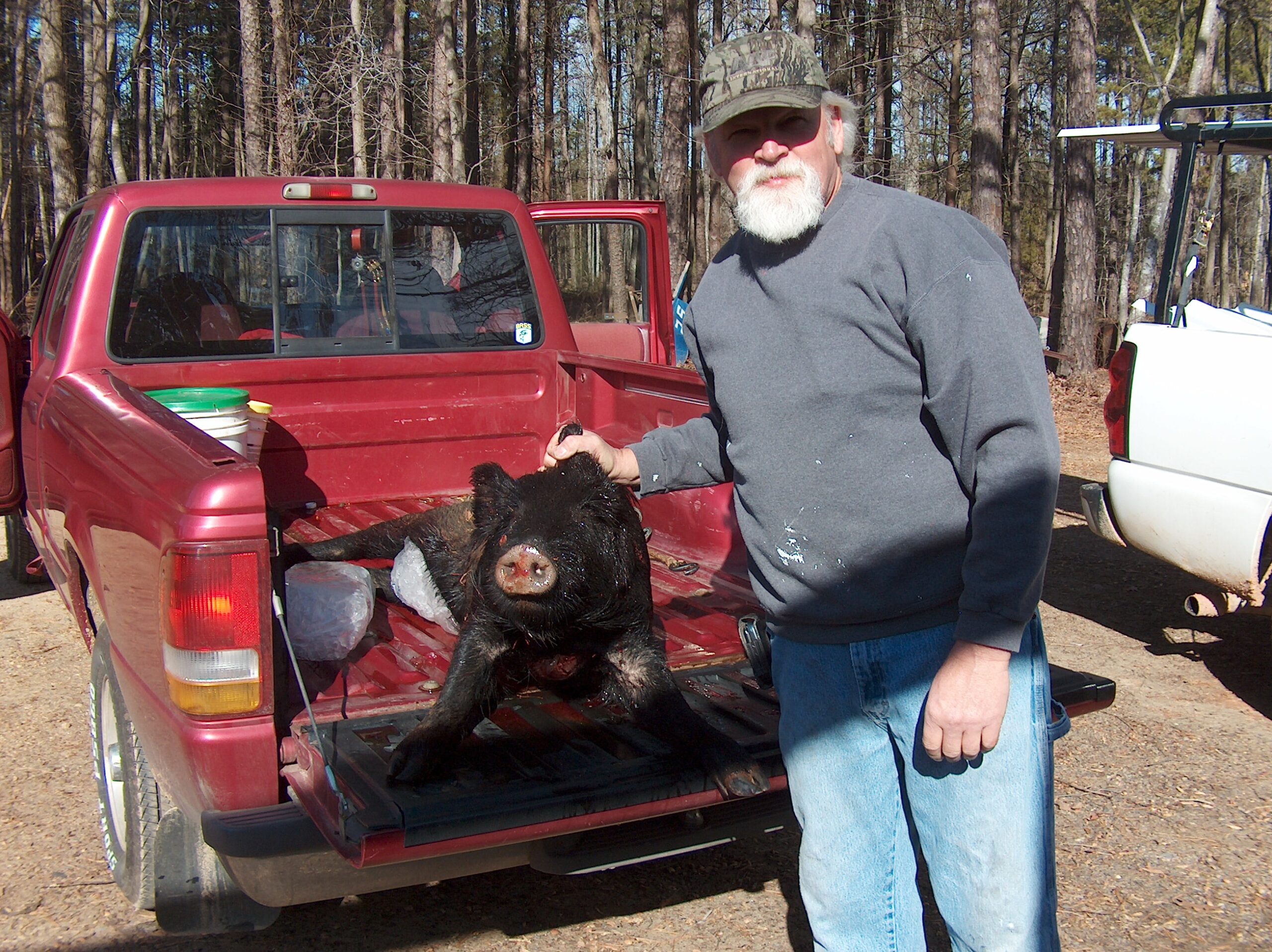 Glenn Page Hog Kill – 704 outdoors