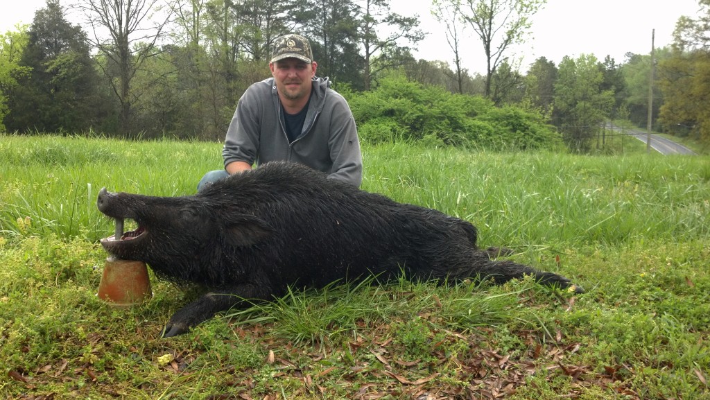 Guided Wild Hog Hunts – 704 outdoors