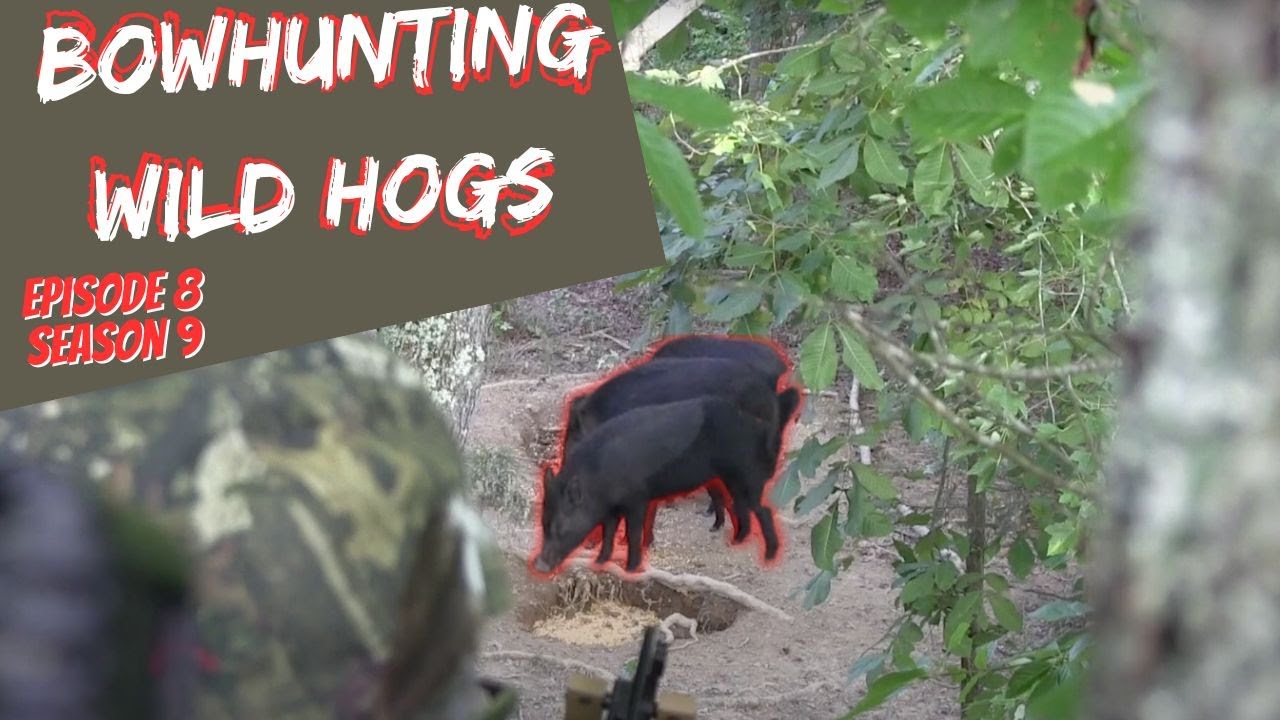 704 outdoors – Hunting TV Show Based in NC